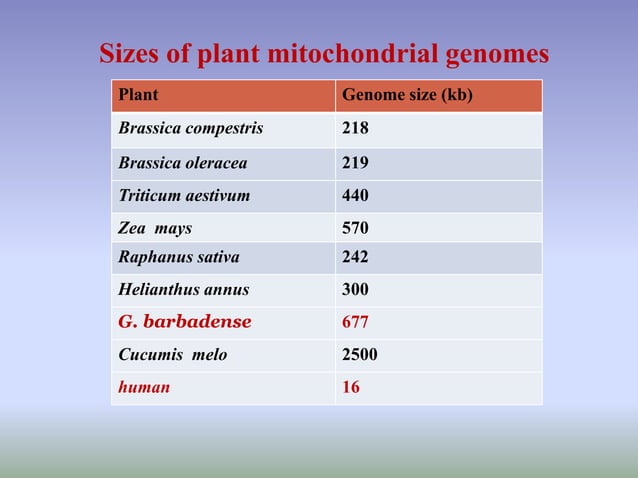Cytoplasmic inheritance and Chloroplast engineering | PPTX | Genetics ...