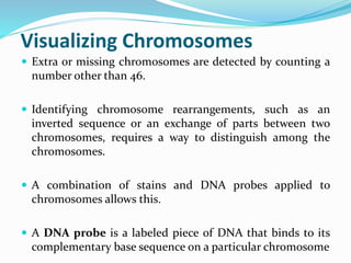 Cytogenetic analysis | PPTX