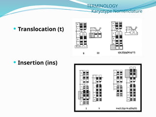 Cytogenetic Examination of Leukemia.pptx