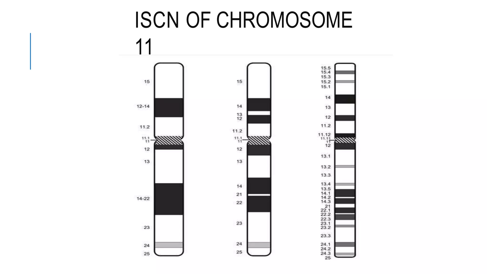 Cytogenetics in diagnosis of disease | PPTX