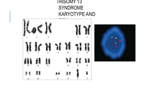 Cytogenetics in diagnosis of disease | PPTX