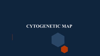 CYTOGENETIC MAP................ ppt.pptx