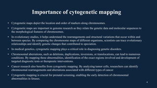 CYTOGENETIC MAP................ ppt.pptx