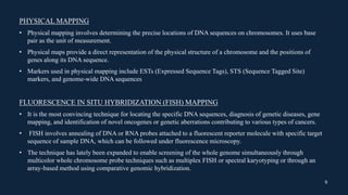 CYTOGENETIC MAP................ ppt.pptx