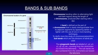 Cytogenetic Nomenclature & abbreviations | PPTX