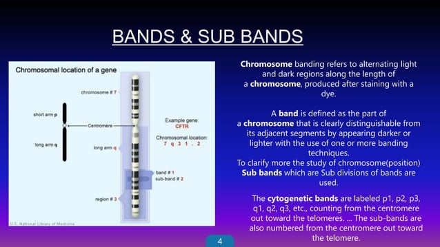 Cytogenetic Nomenclature & abbreviations | PPTX