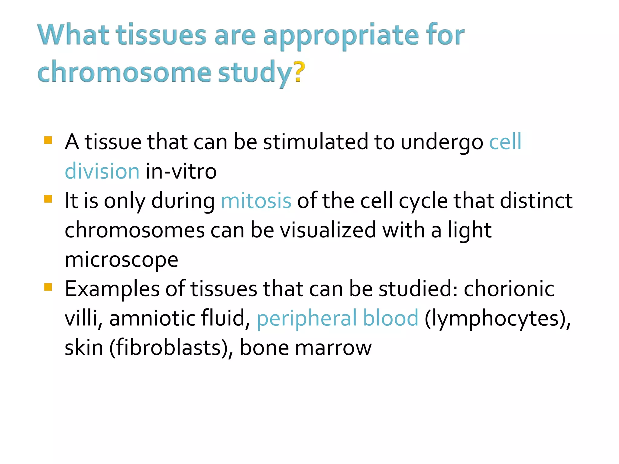 Cytogenetics | PPT