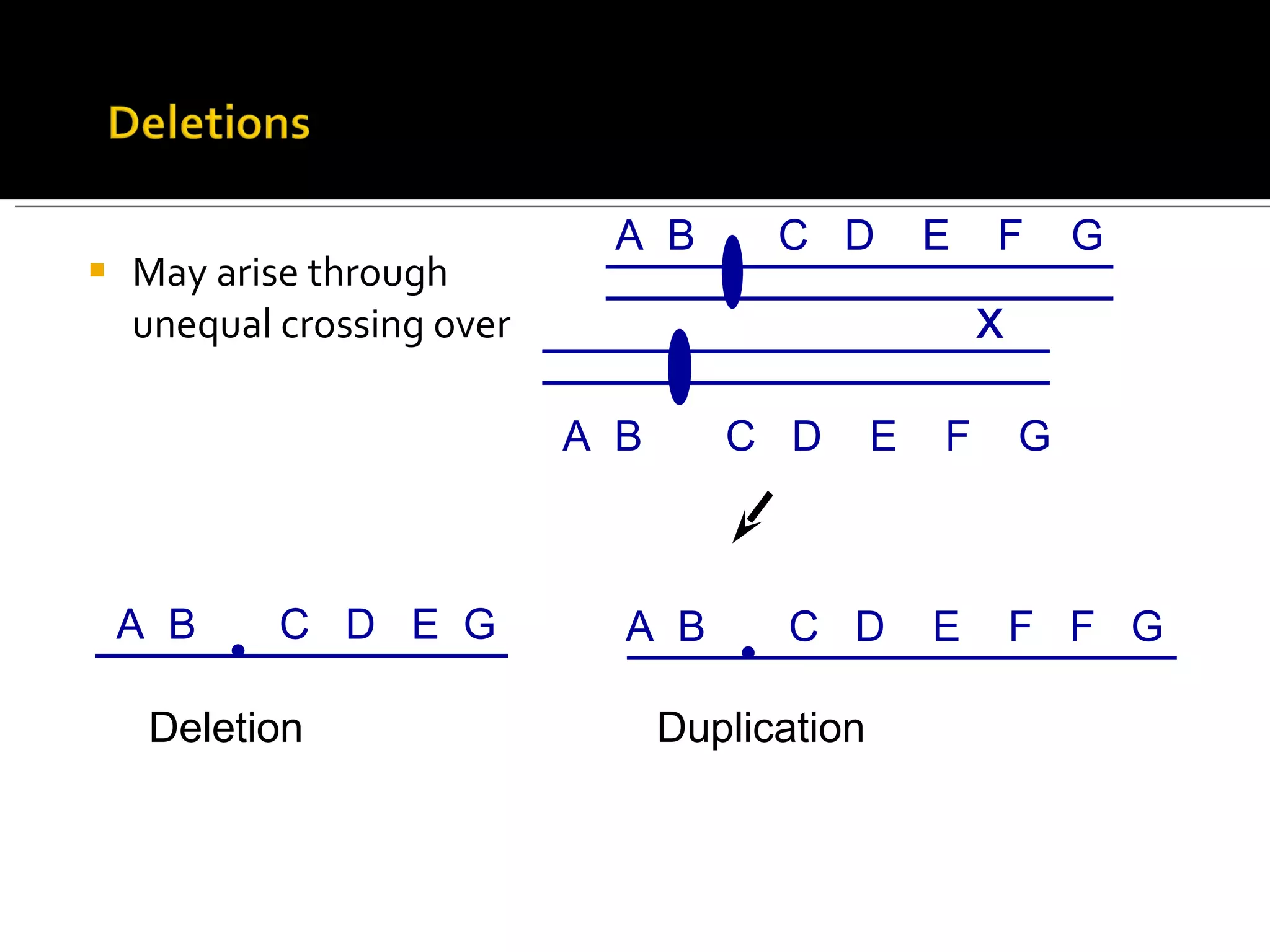 Cytogenetics | PPT