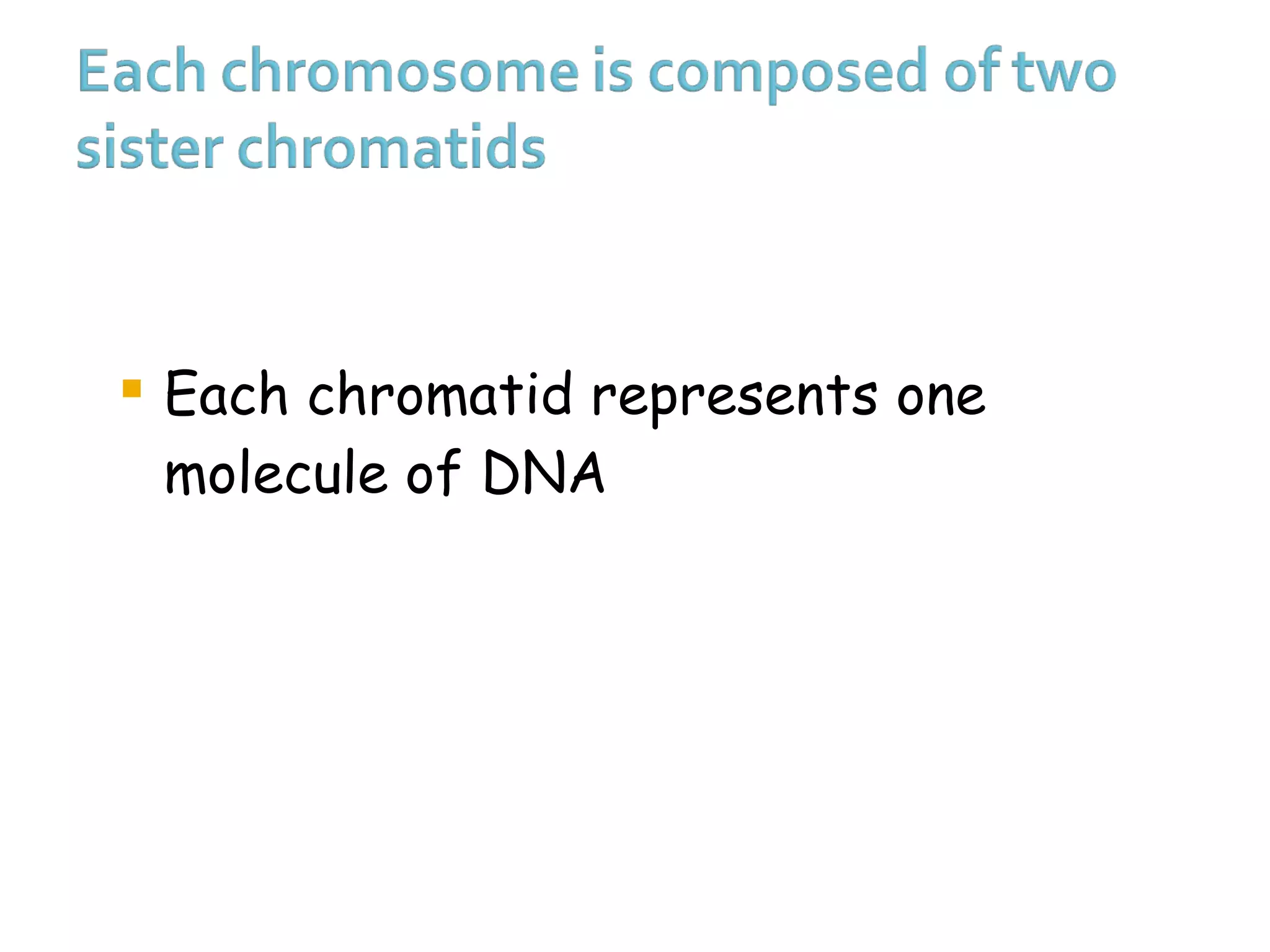 Cytogenetics | PPT