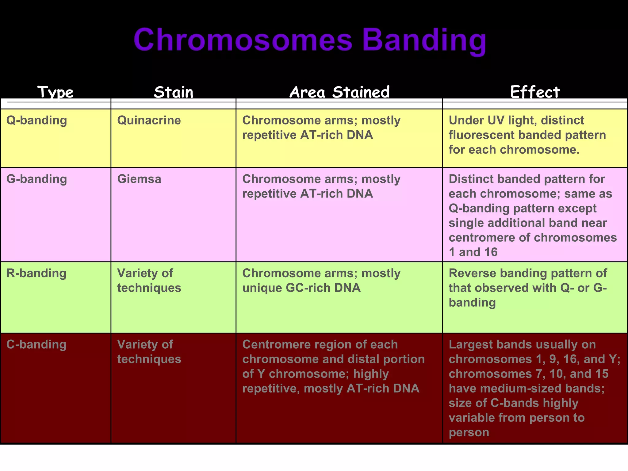 Cytogenetics | PPT