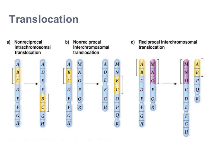 Cytogenetics