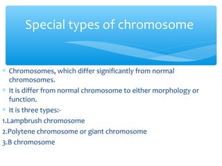 Architecture of Chromosomes | PPT