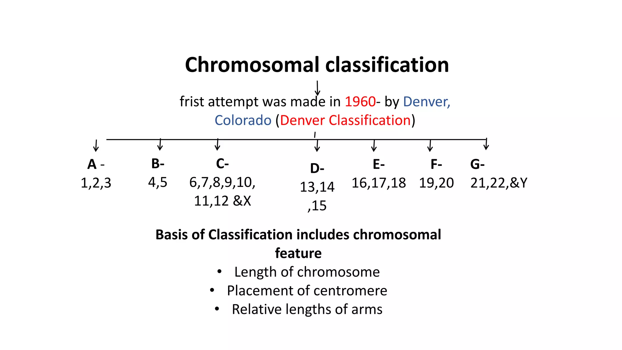 CYTOGENETICS.pptx
