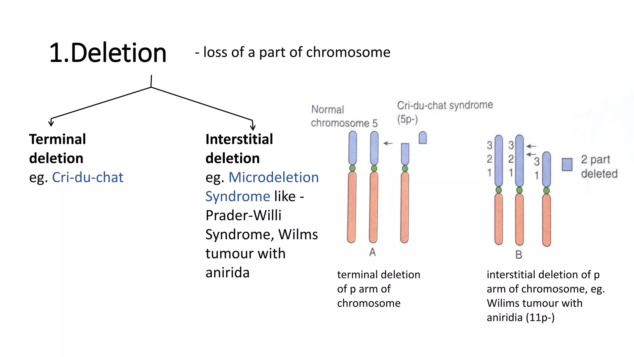 CYTOGENETICS.pptx