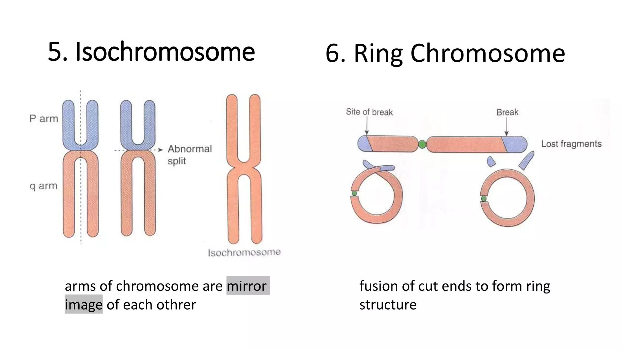 CYTOGENETICS.pptx