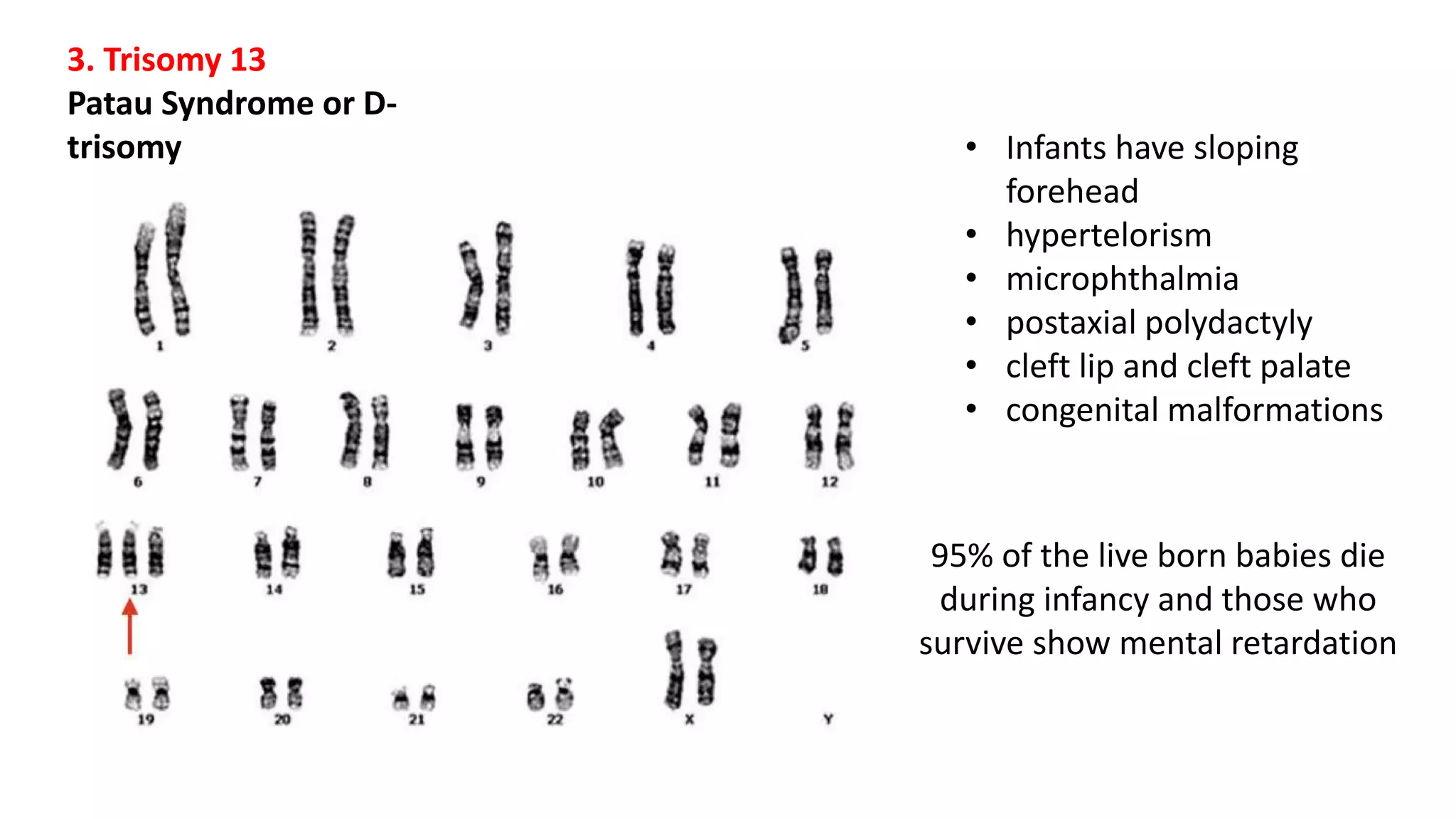 CYTOGENETICS.pptx
