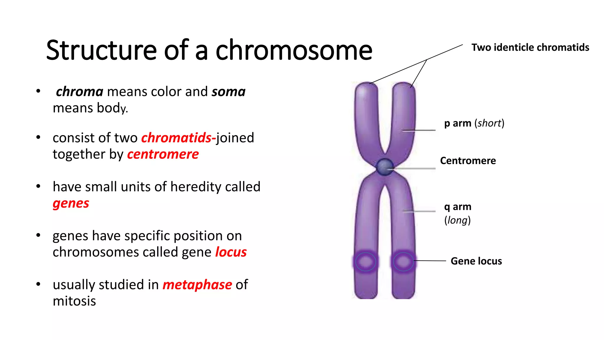 CYTOGENETICS.pptx