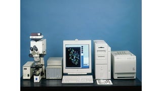 Cytogenetics genetics karyogram nucleus. | PPTX