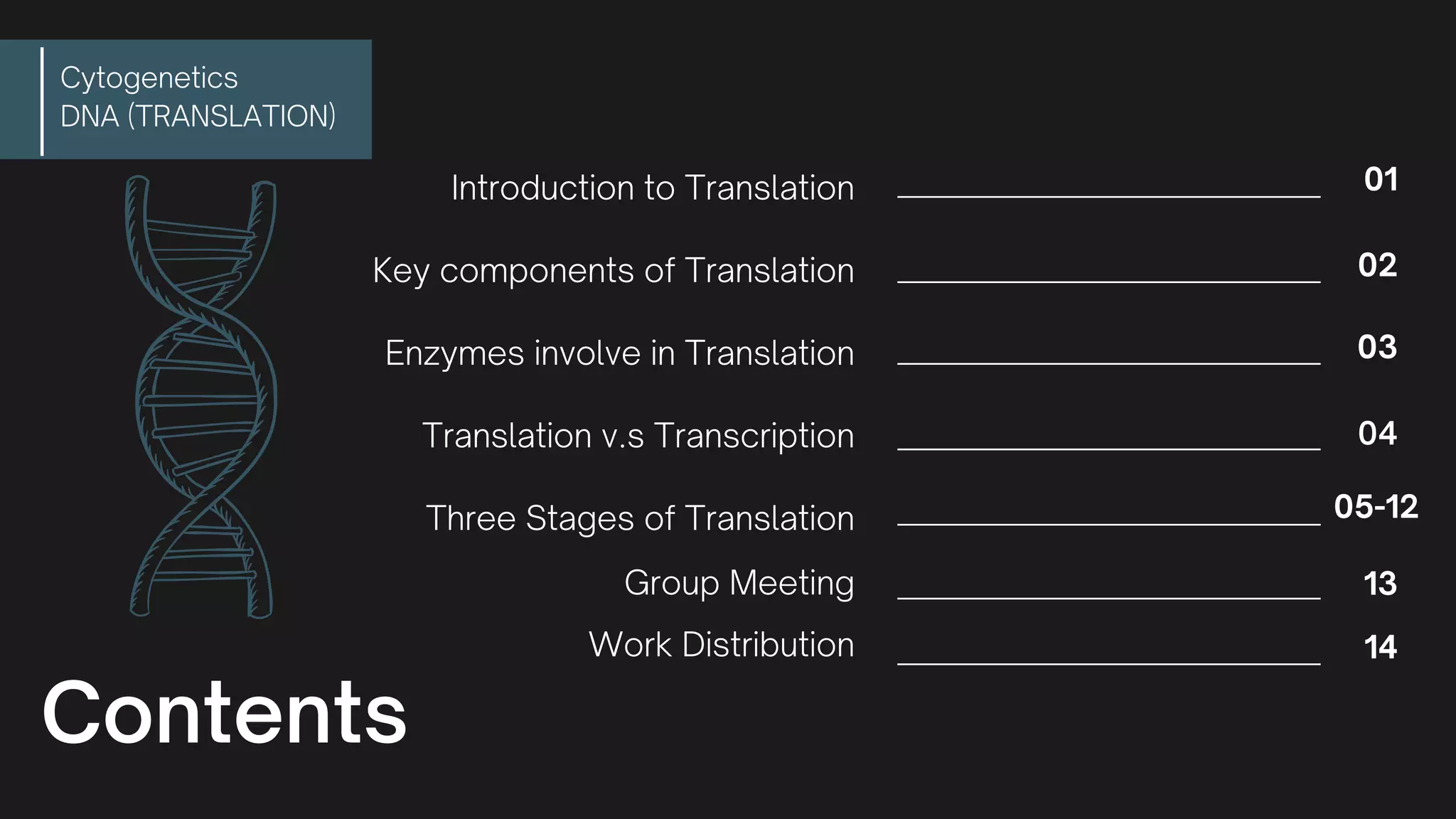 Cytogenetics DNA Translation | PPT