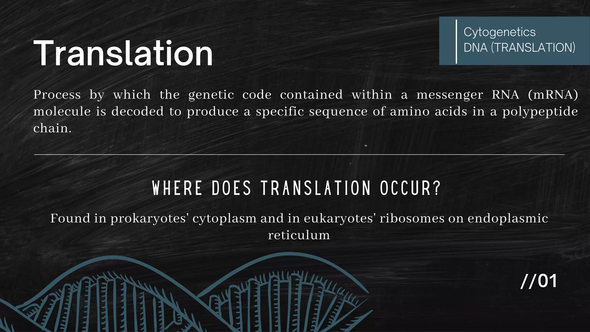 Cytogenetics DNA Translation | PPT