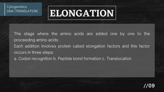 Cytogenetics DNA Translation | PDF