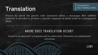 Cytogenetics DNA Translation | PPT