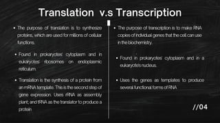 Cytogenetics DNA Translation | PPT