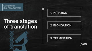 Cytogenetics DNA Translation | PPT