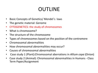 Cytogenetics in the field of Human Genetics | PPTX