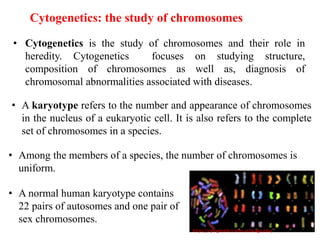 Cytogenetics in the field of Human Genetics | PPTX