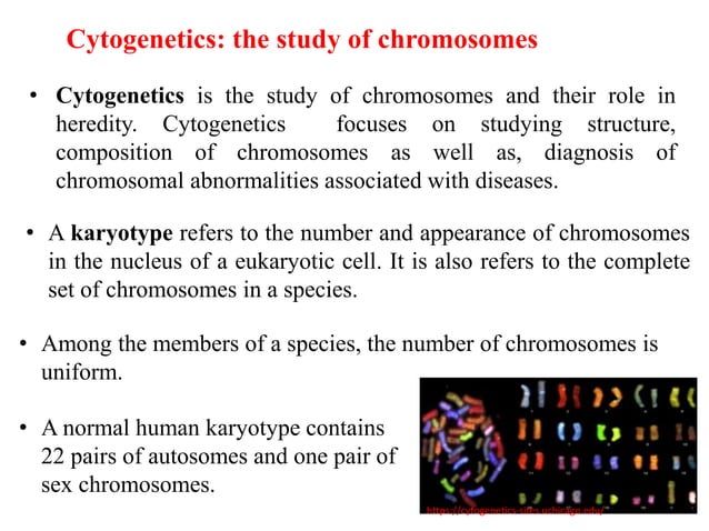 Cytogenetics in the field of Human Genetics | PPTX | Infertility ...