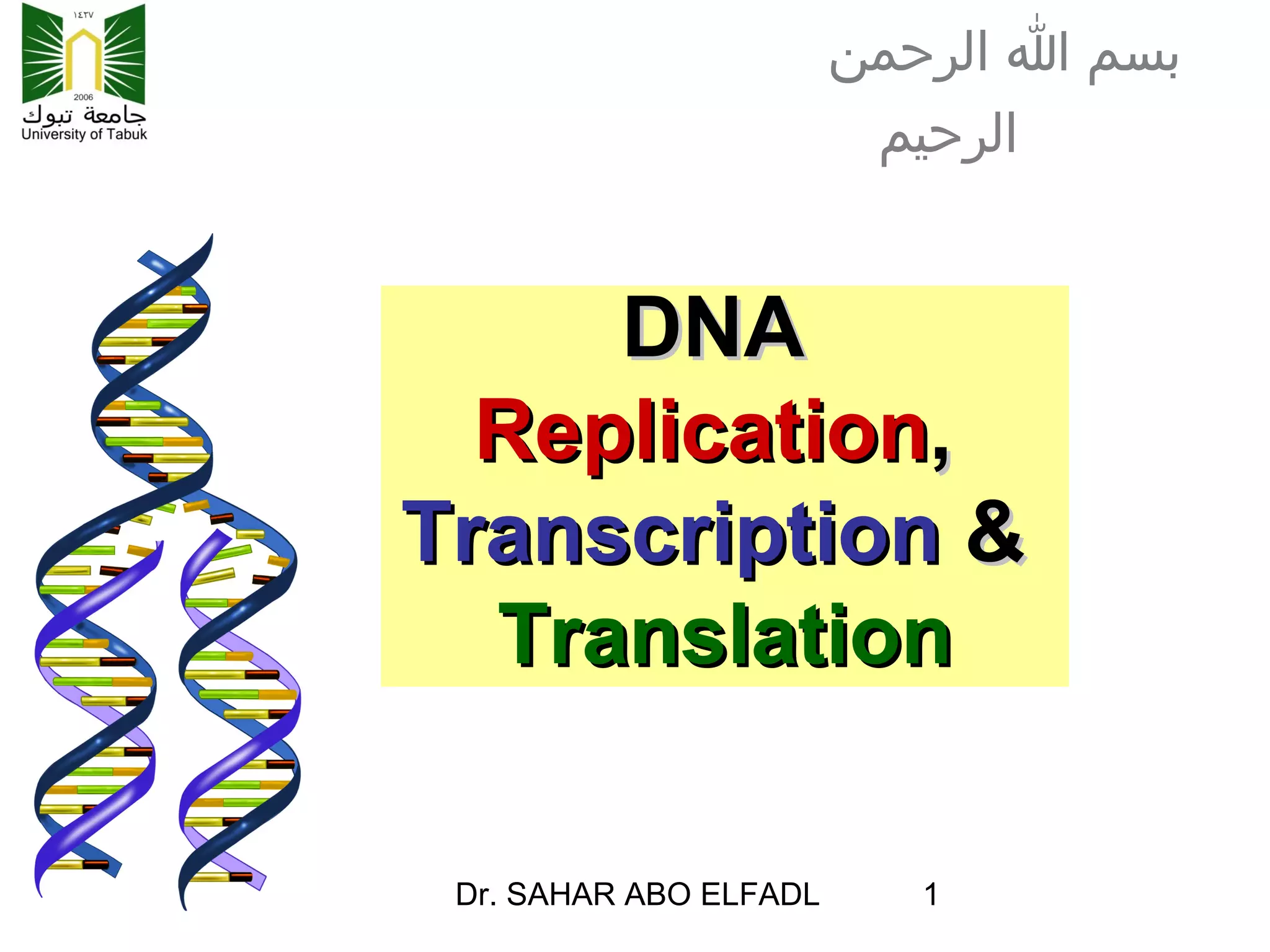 Cytogenetics 2 replication, transcription and translation | PPT