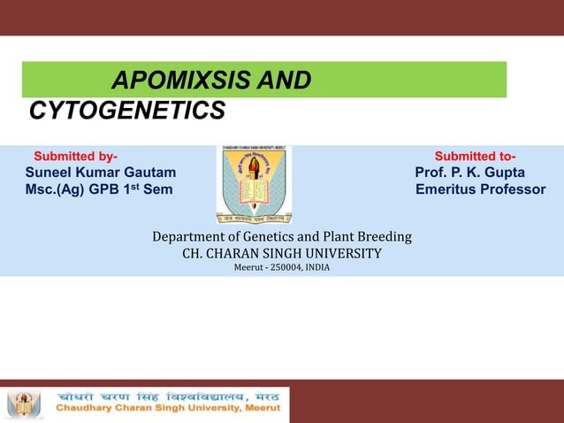 Cytogenetics of apomixis by Suneel kr Gautam | PPT | Infertility ...