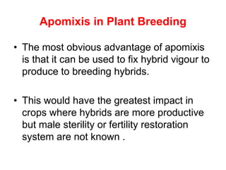 Cytogenetics of apomixis by Suneel kr Gautam | PPT