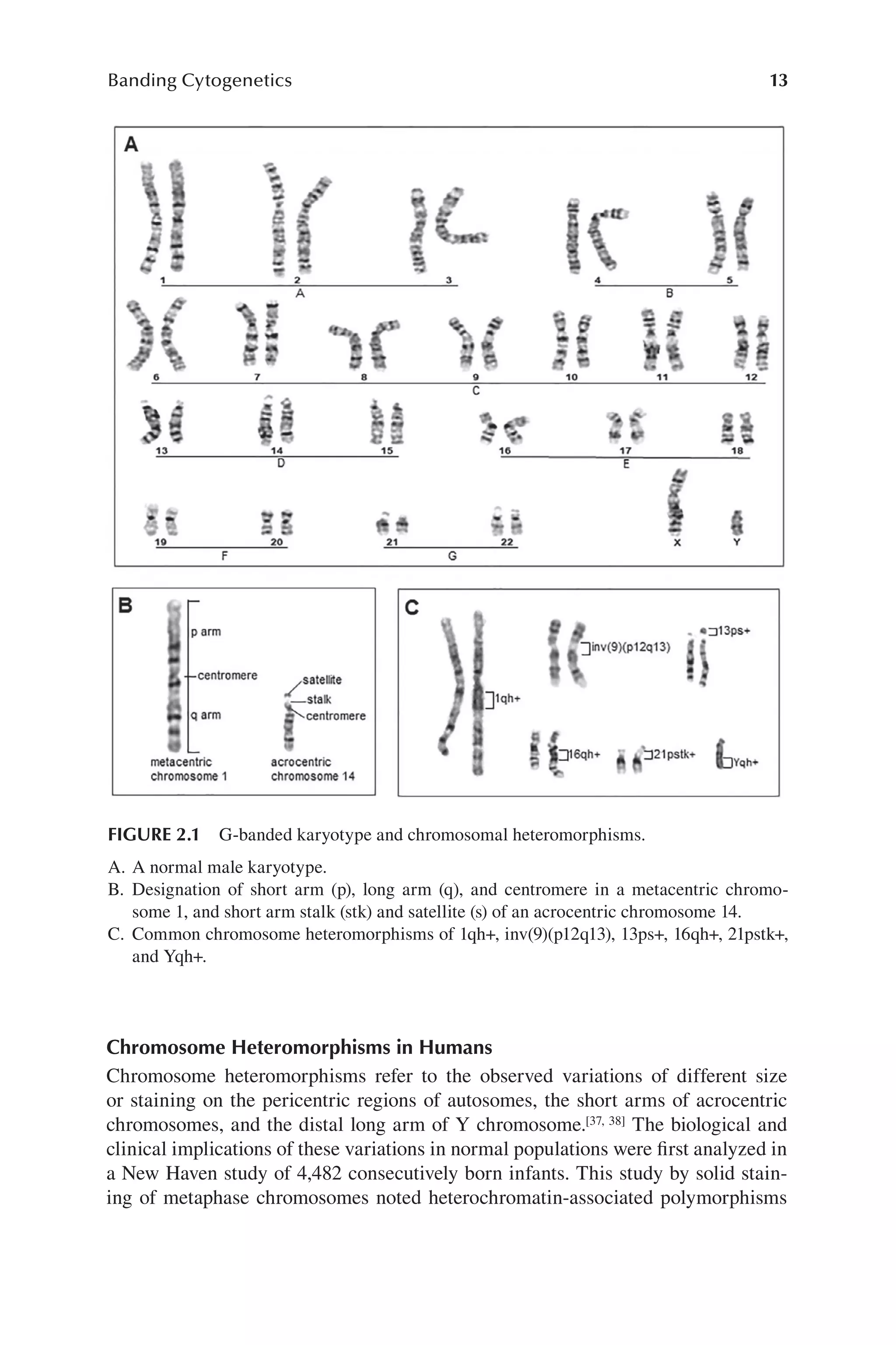 Cytogenetics and Molecular Cytogenetics (CRC Press, 2022).pdf