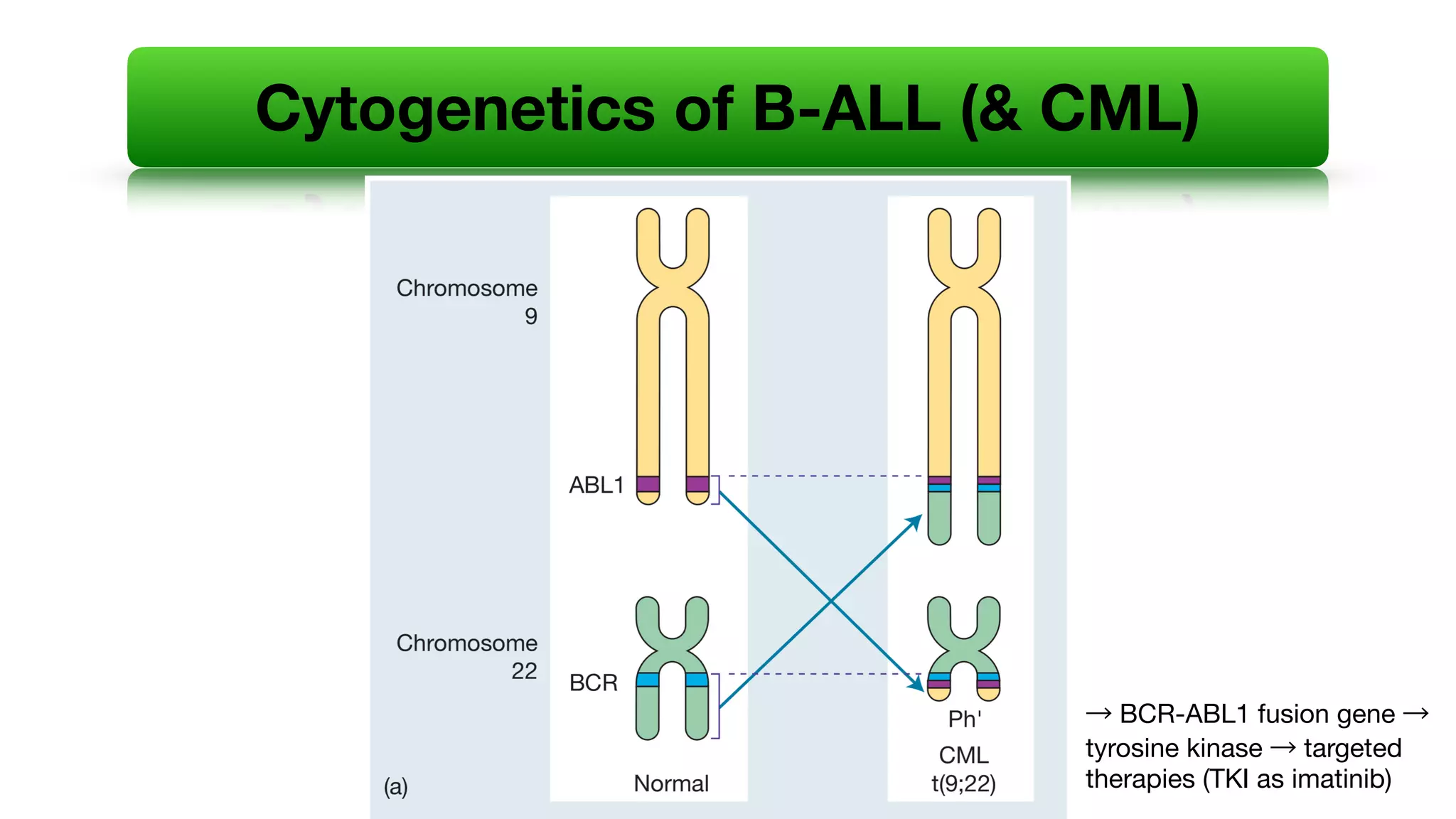 Cytogenetics in Acute Leukemias.pdf