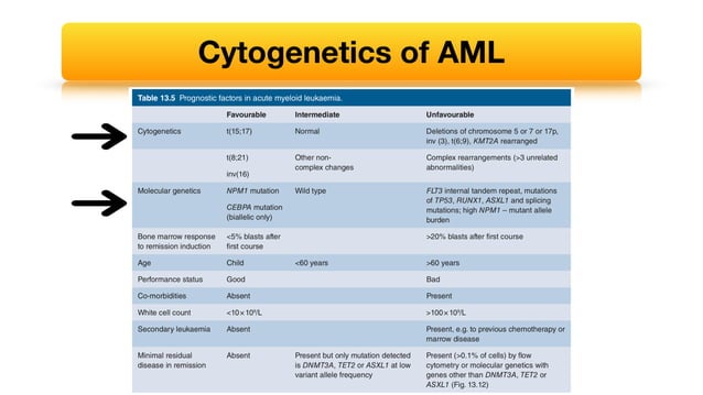 Cytogenetics in Acute Leukemias.pdf | Blood Disorders | Diseases and ...