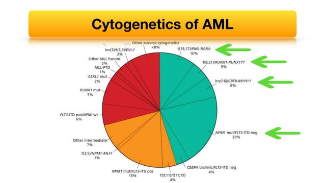 Cytogenetics in Acute Leukemias.pdf | Blood Disorders | Diseases and ...