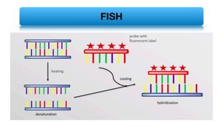 Cytogenetics in Acute Leukemias.pdf
