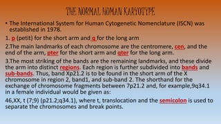 Cytogenetics iscn | PPTX