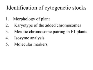 Cytogenetic stocks in in plant breeding | PPTX