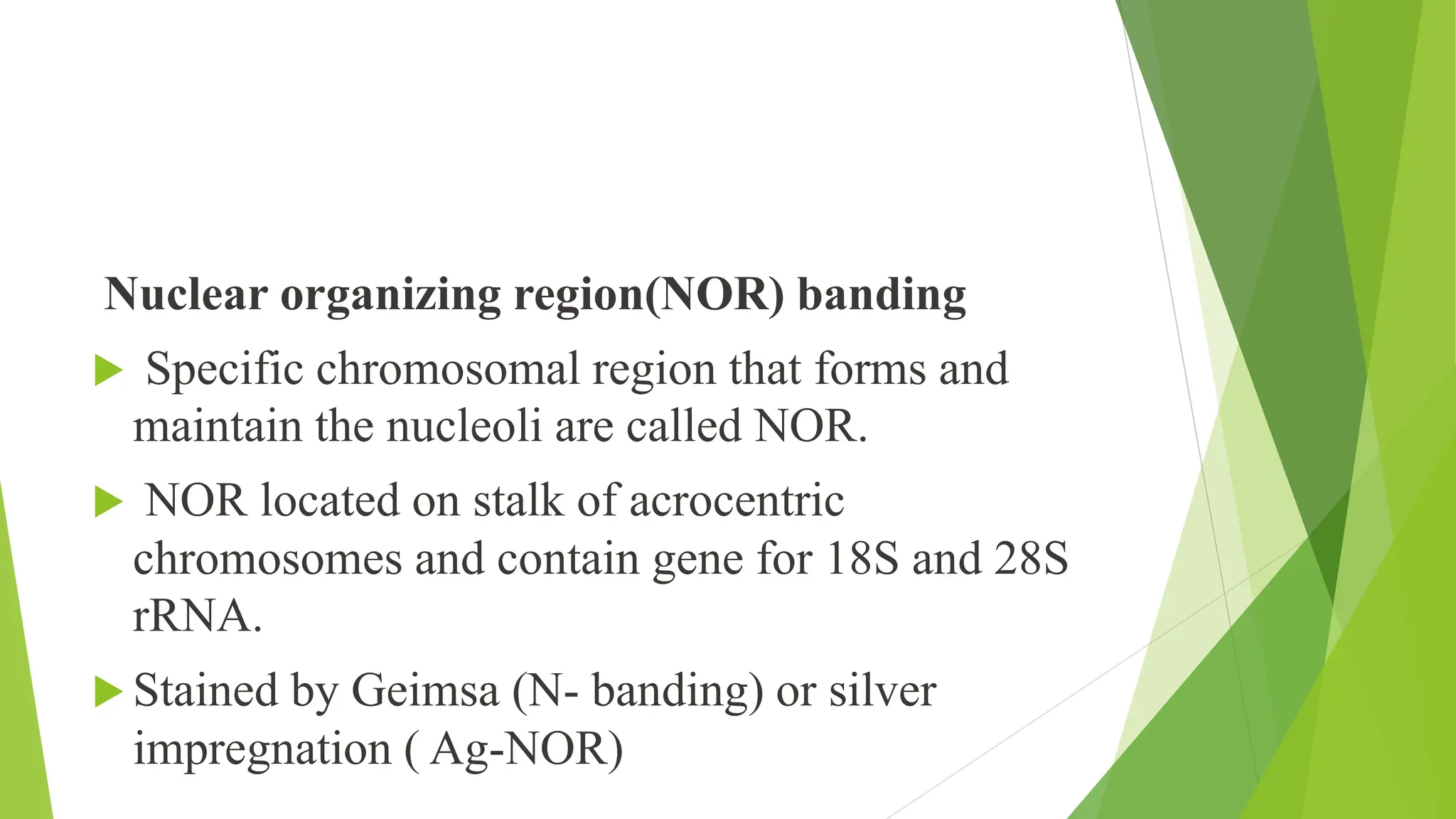 CYTOGENETICS cytogenetics abnormality.pptx