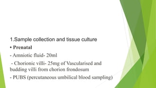 CYTOGENETICS cytogenetics abnormality.pptx