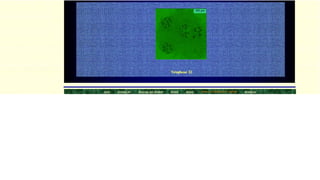 Cytogenetics of arachis_spp. | PPT