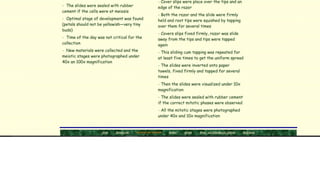 Cytogenetics of arachis_spp. | PPTX