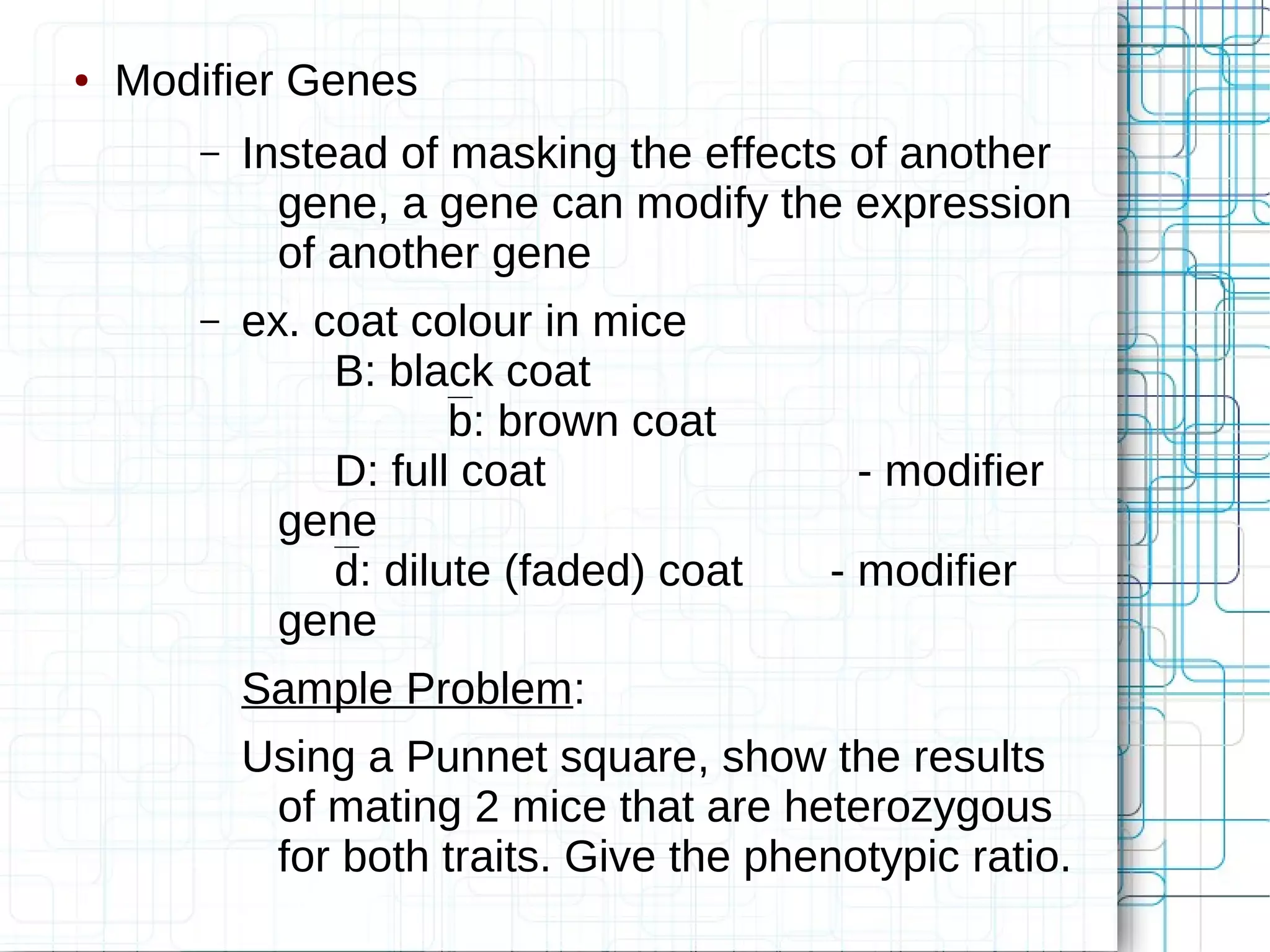 Law of Independent Assortment | ODP