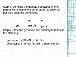 Law of Independent Assortment | ODP