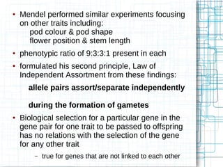 Law of Independent Assortment | ODP