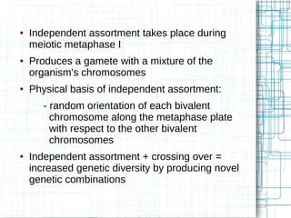 Law of Independent Assortment | ODP