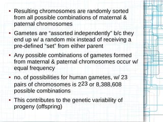Law of Independent Assortment | ODP